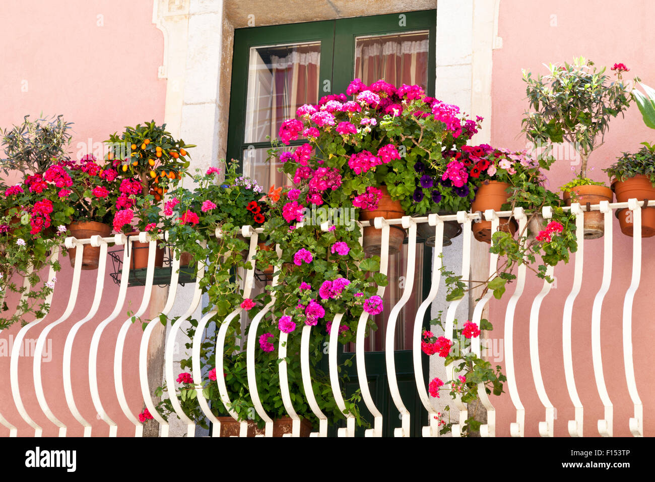 White metal balcony with floral display of colourful hanging plants ...