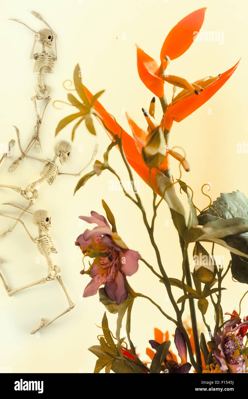 Scary dancing fairy skeletons on vintage flower background Stock Photo ...