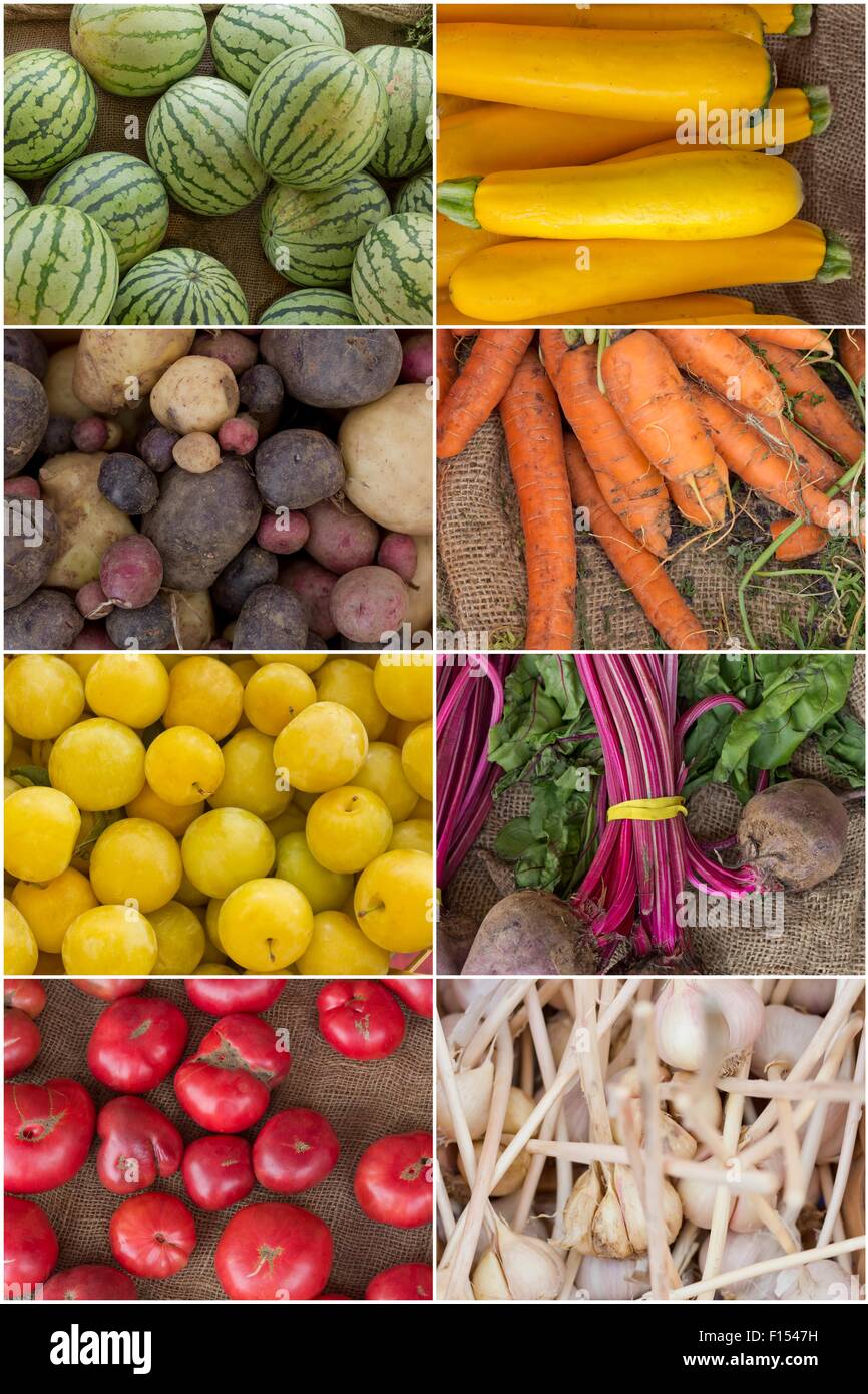 Variety of popular farmers market fruits and vegetables in produce ...