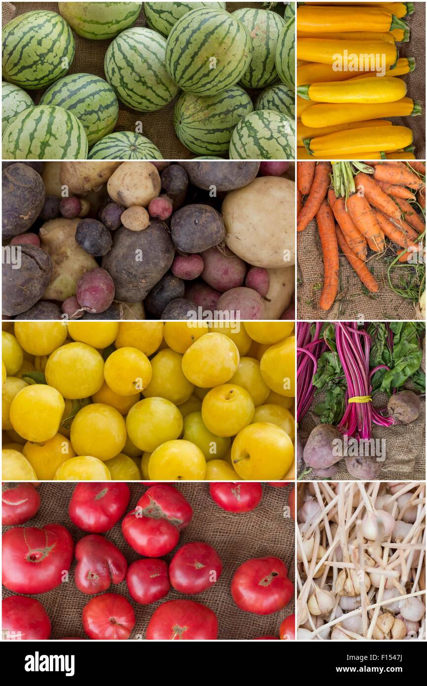 Variety of popular farmers market fruits and vegetables in produce ...