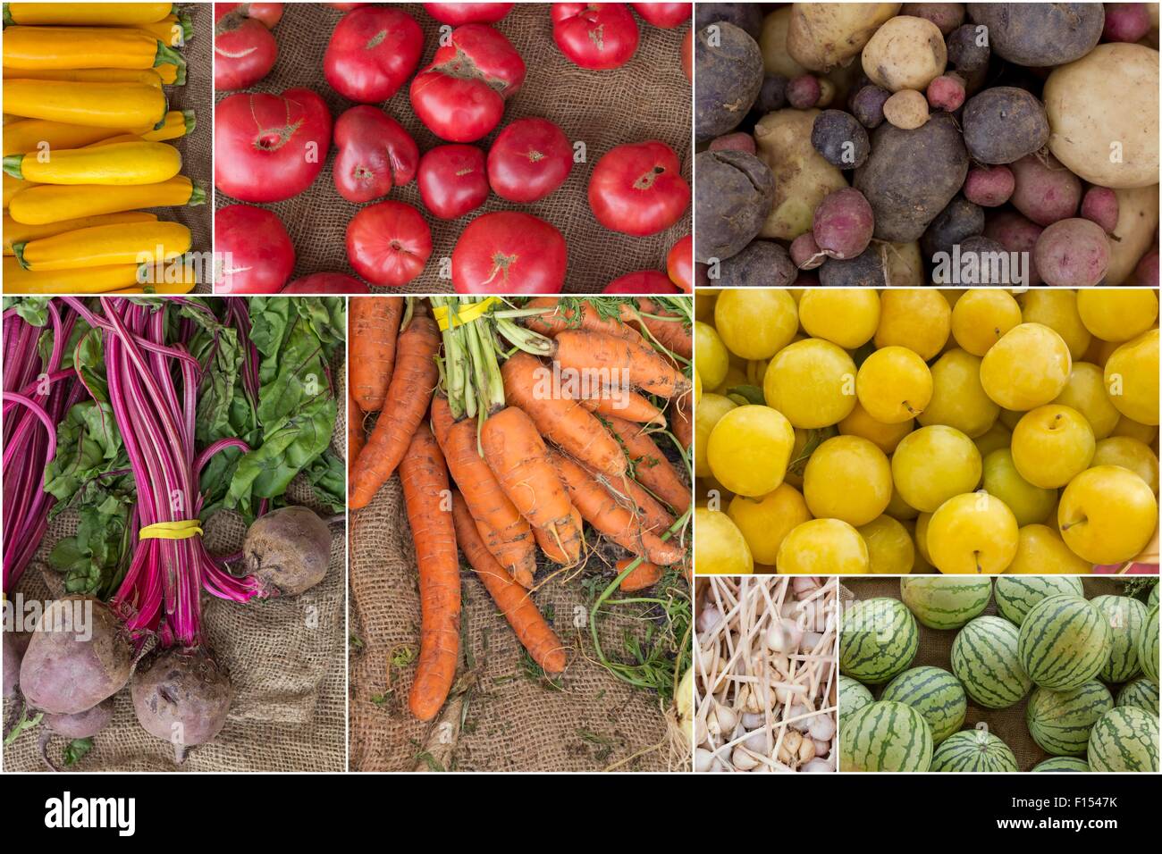 Variety of popular farmers market fruits and vegetables in produce ...