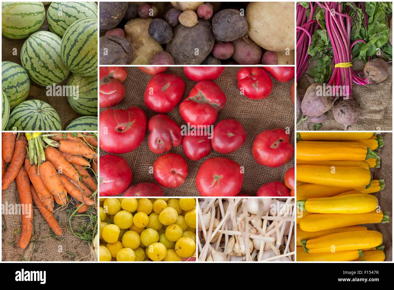 Variety of popular farmers market fruits and vegetables in produce ...