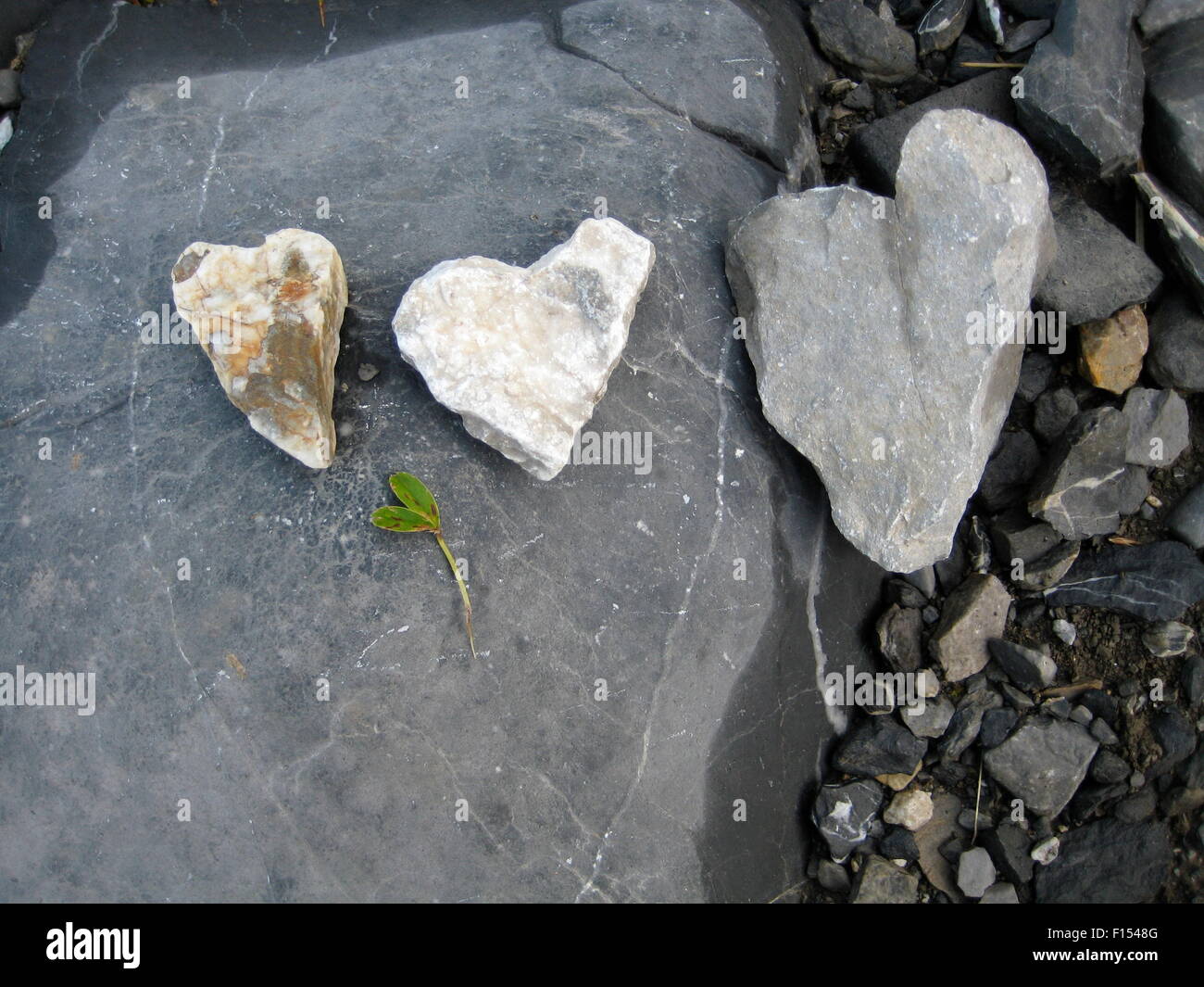 three stone hearts and one clover Stock Photo - Alamy