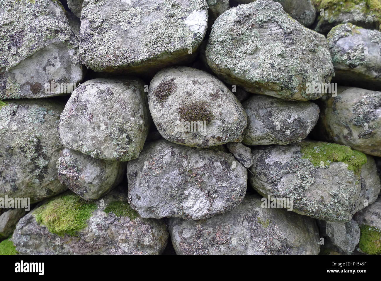 stone wall with grey fungus Stock Photo - Alamy