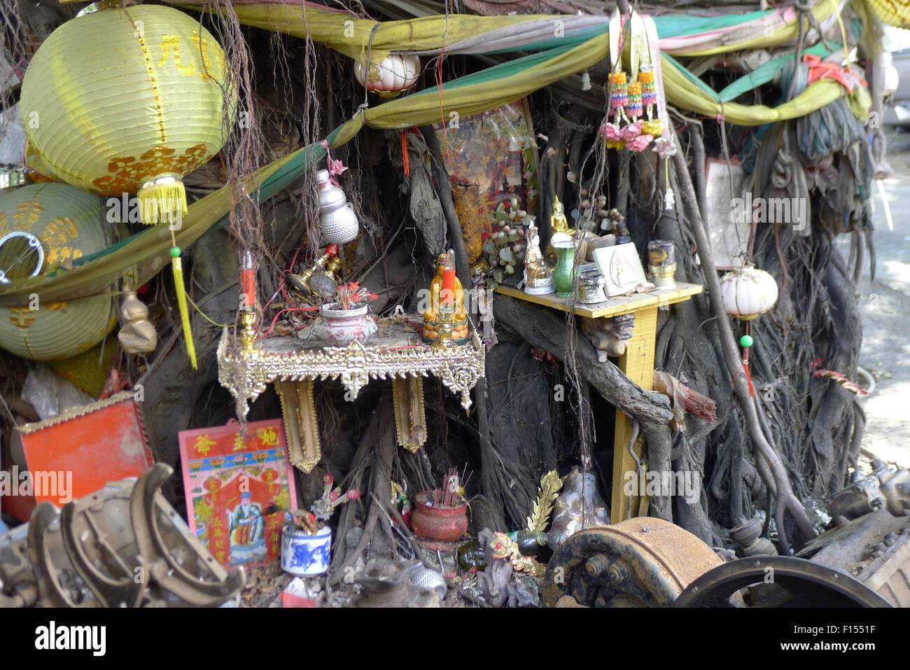 holy tree Bangkok Thailand Stock Photo - Alamy