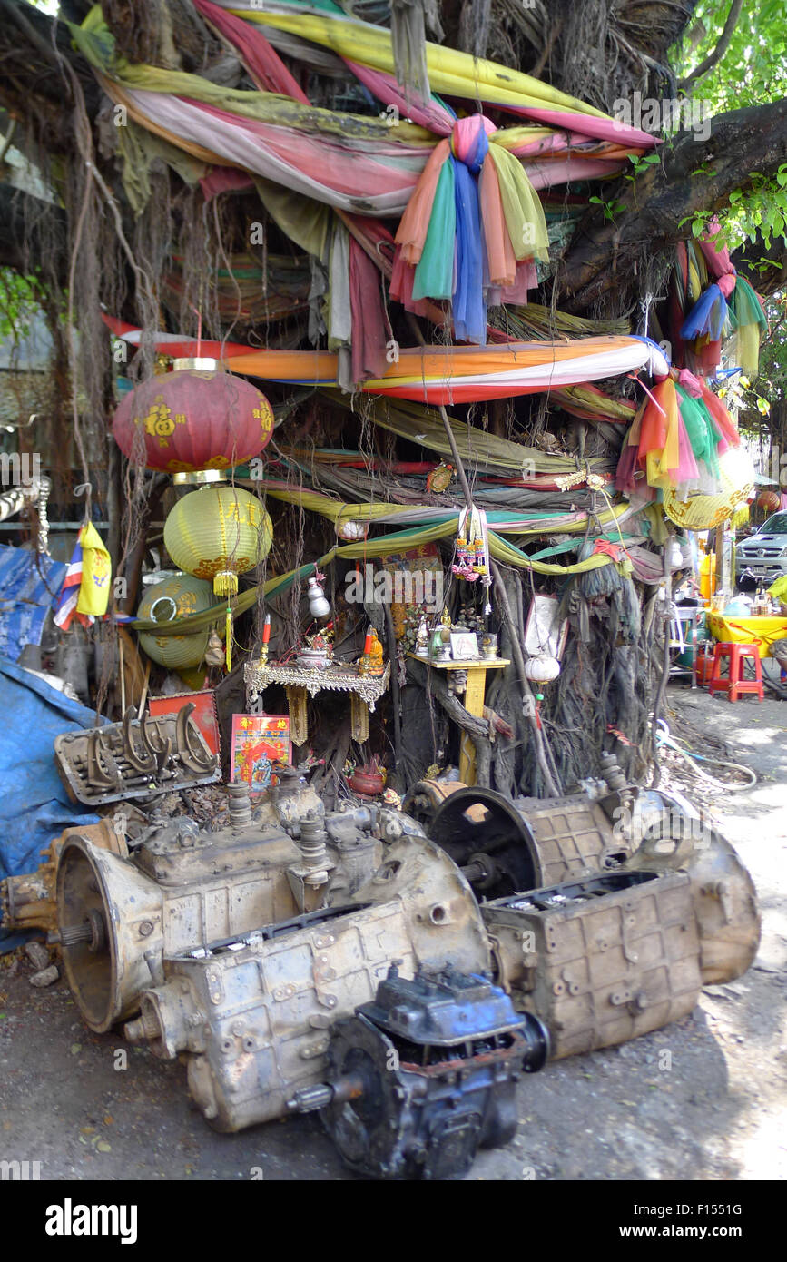 holy tree Bangkok Thailand Stock Photo - Alamy