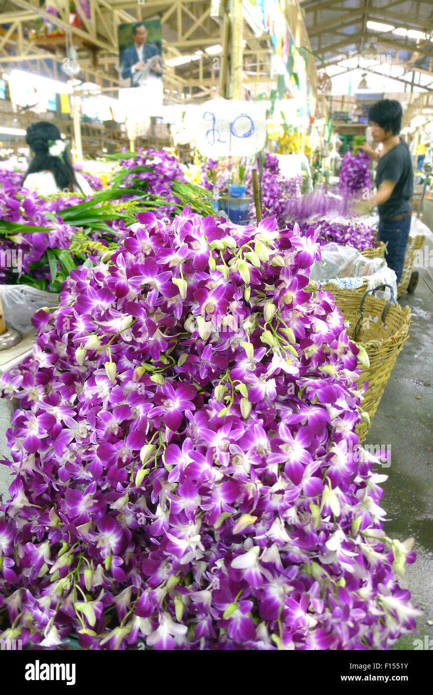 Bangkok orchids hi-res stock photography and images - Alamy
