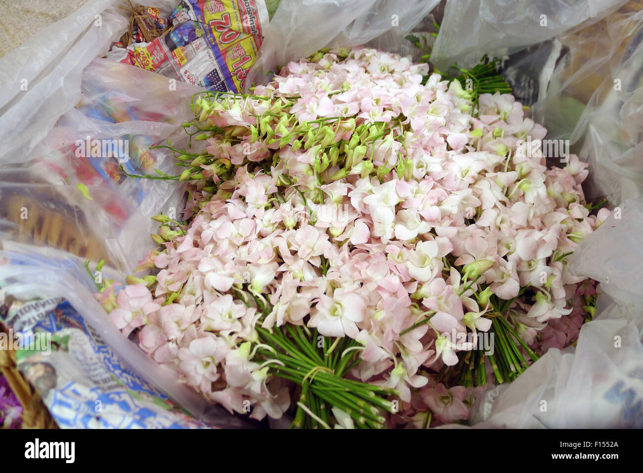 orchids offers at flower market Bangkok Stock Photo - Alamy