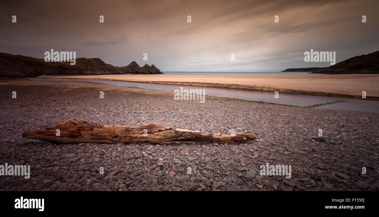 Driftwood and pebbles at Three Cliffs Bay on The Gower peninsular ...
