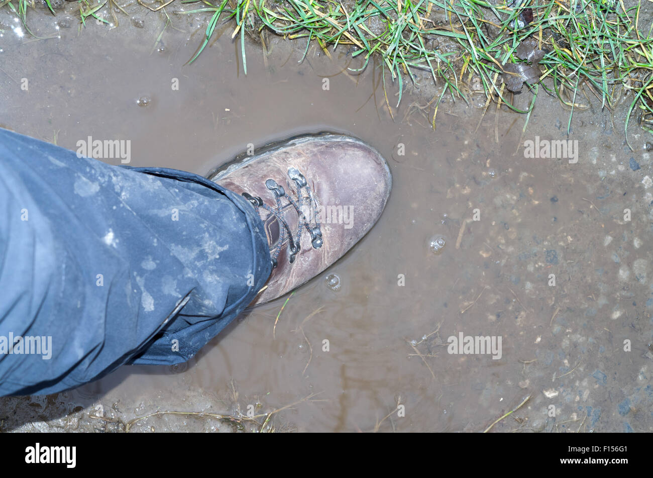Stepping in a puddle while put walking Stock Photo - Alamy