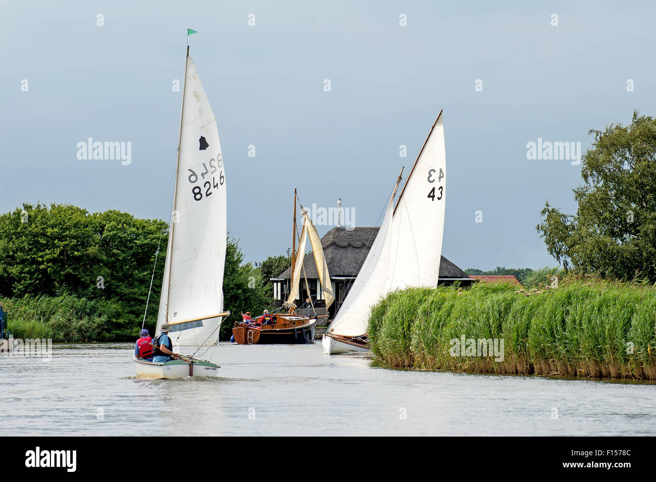 Traditional boats sailing on the Norfolk Broads Stock Photo - Alamy