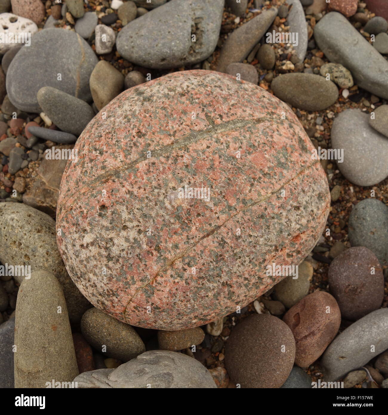 Large Pink Pebble Stock Photo - Alamy