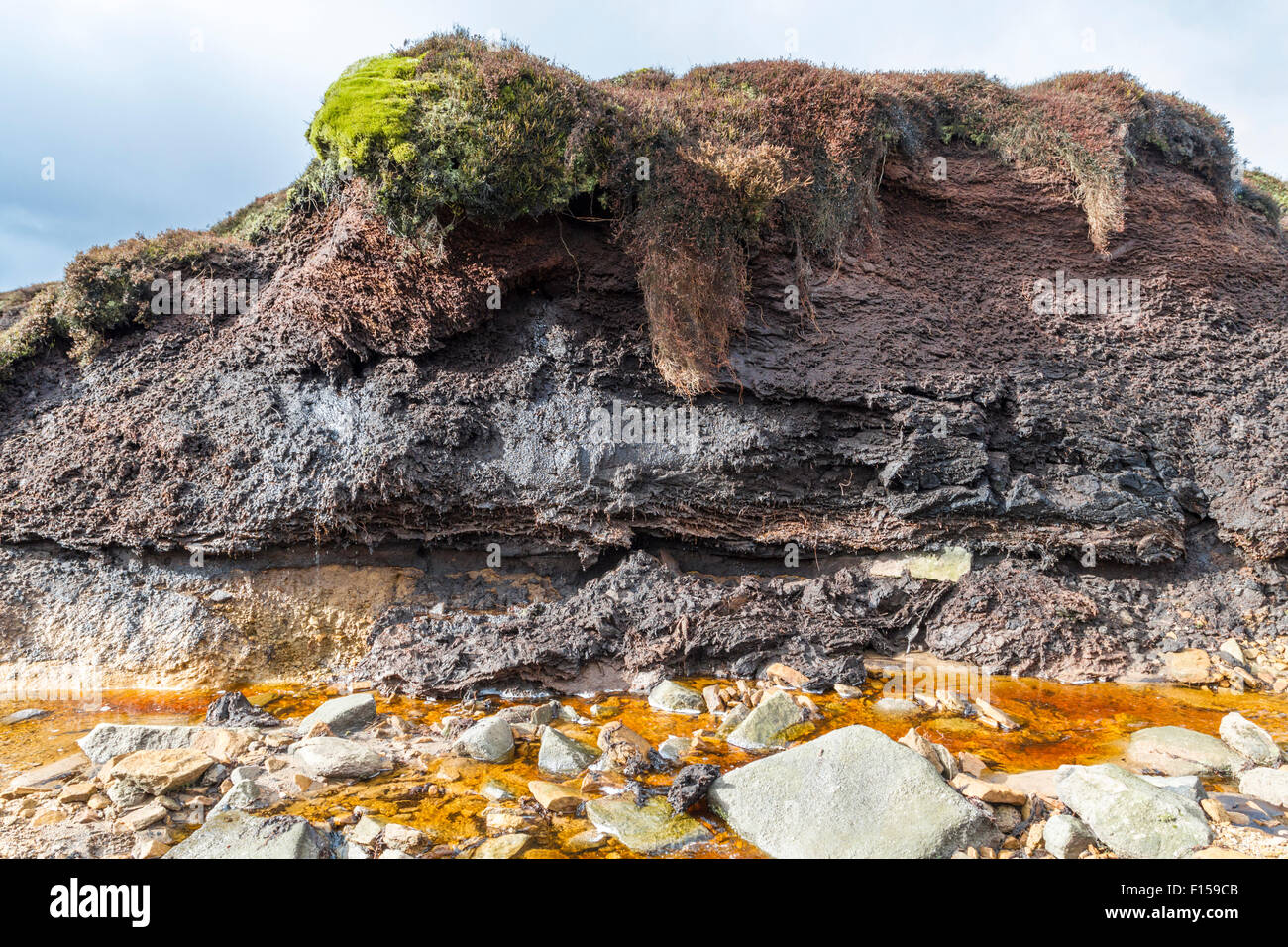 A peat hag formed through erosion of moorland, Kinder Scout, Derbyshire ...