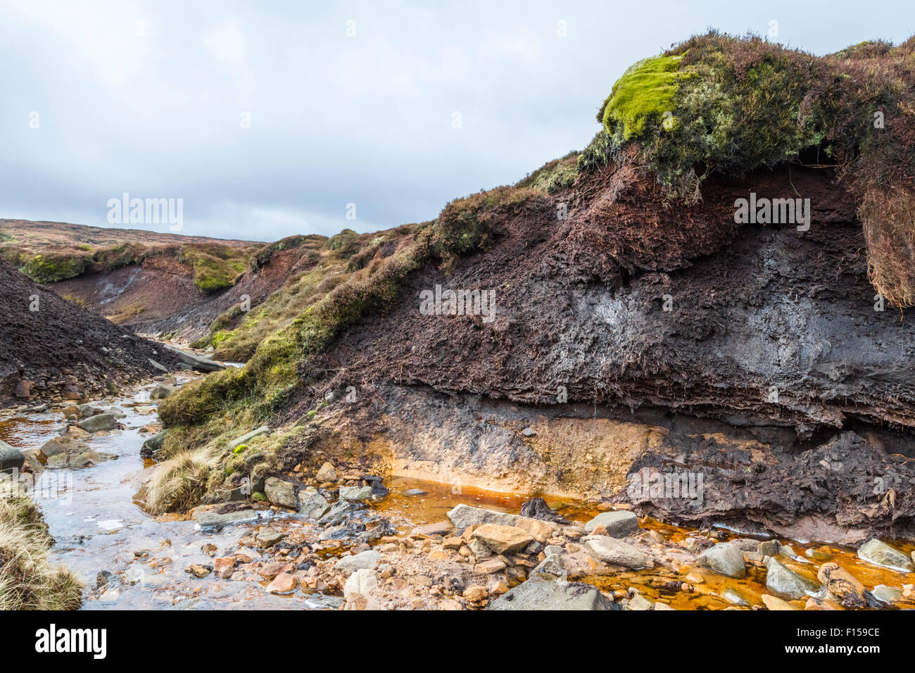Moorland erosion producing a gully or grough and peat hag on Kinder ...