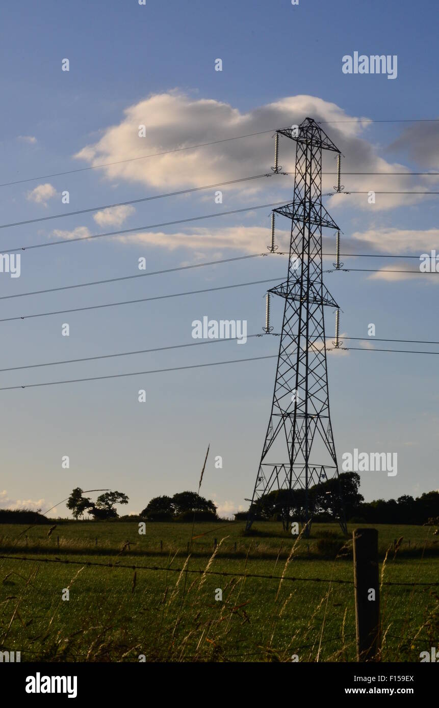 Electricity pylon in field sun hi-res stock photography and images - Alamy