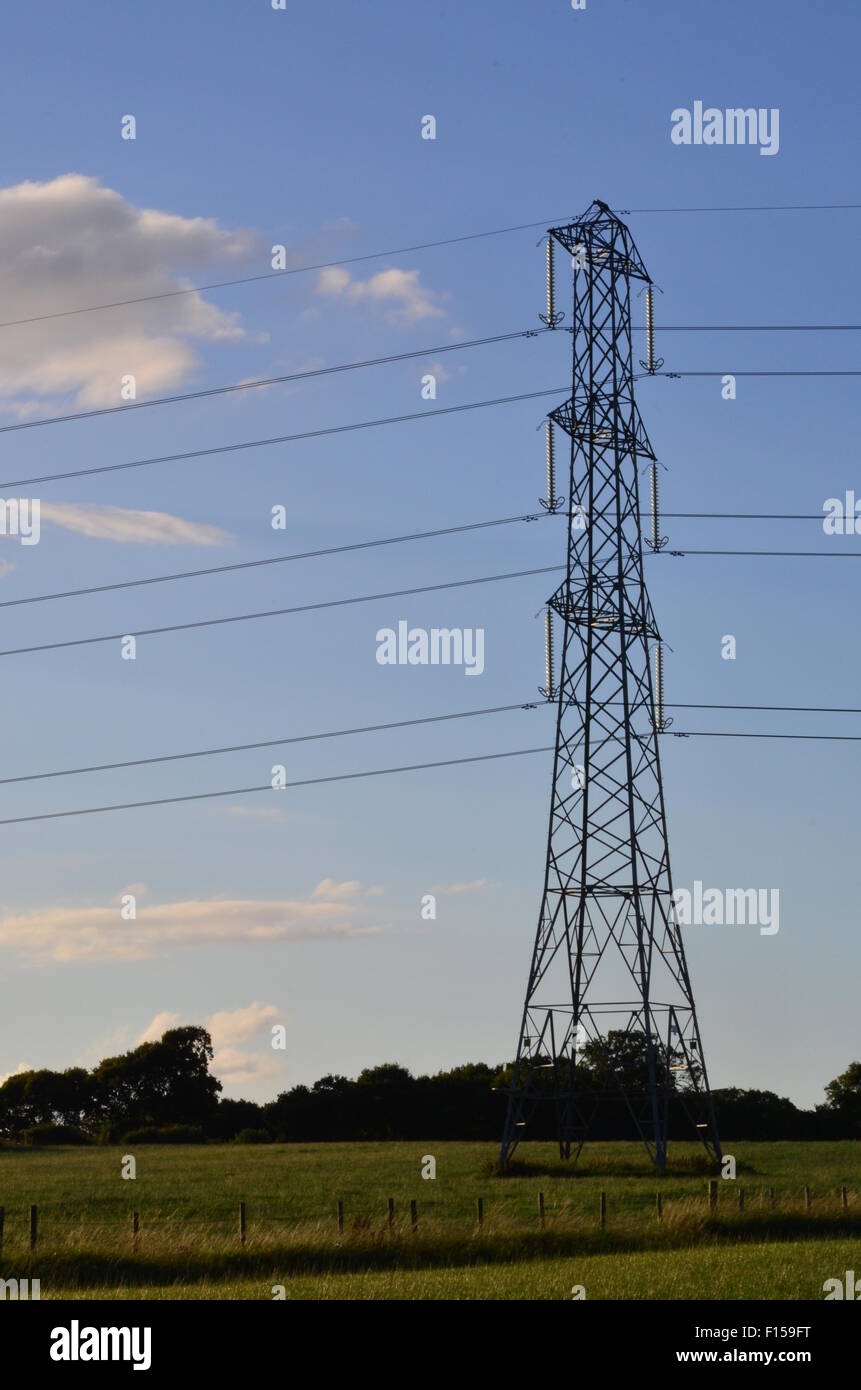 Powerline pylon power field hi-res stock photography and images - Alamy