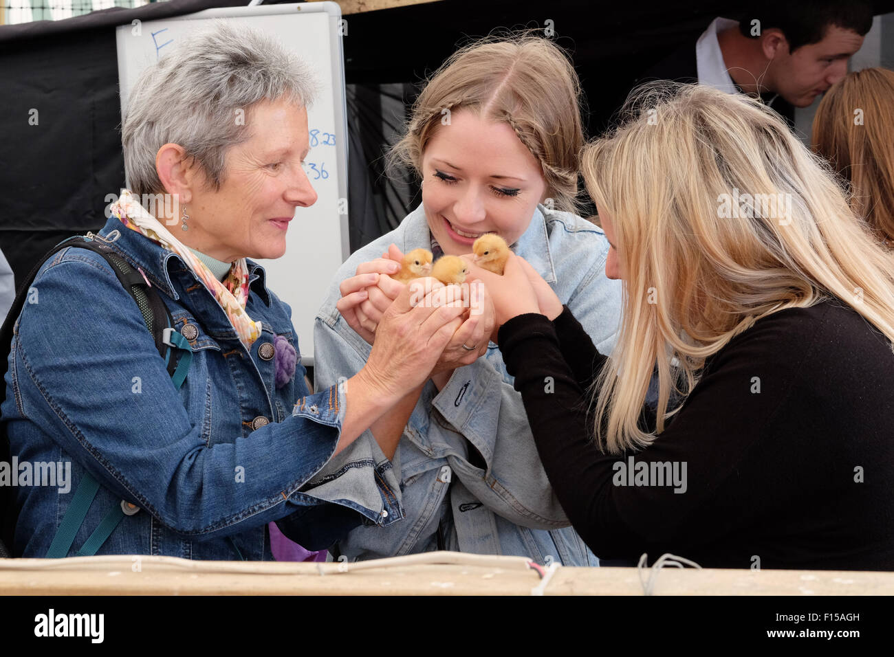 Melplash show hi-res stock photography and images - Alamy
