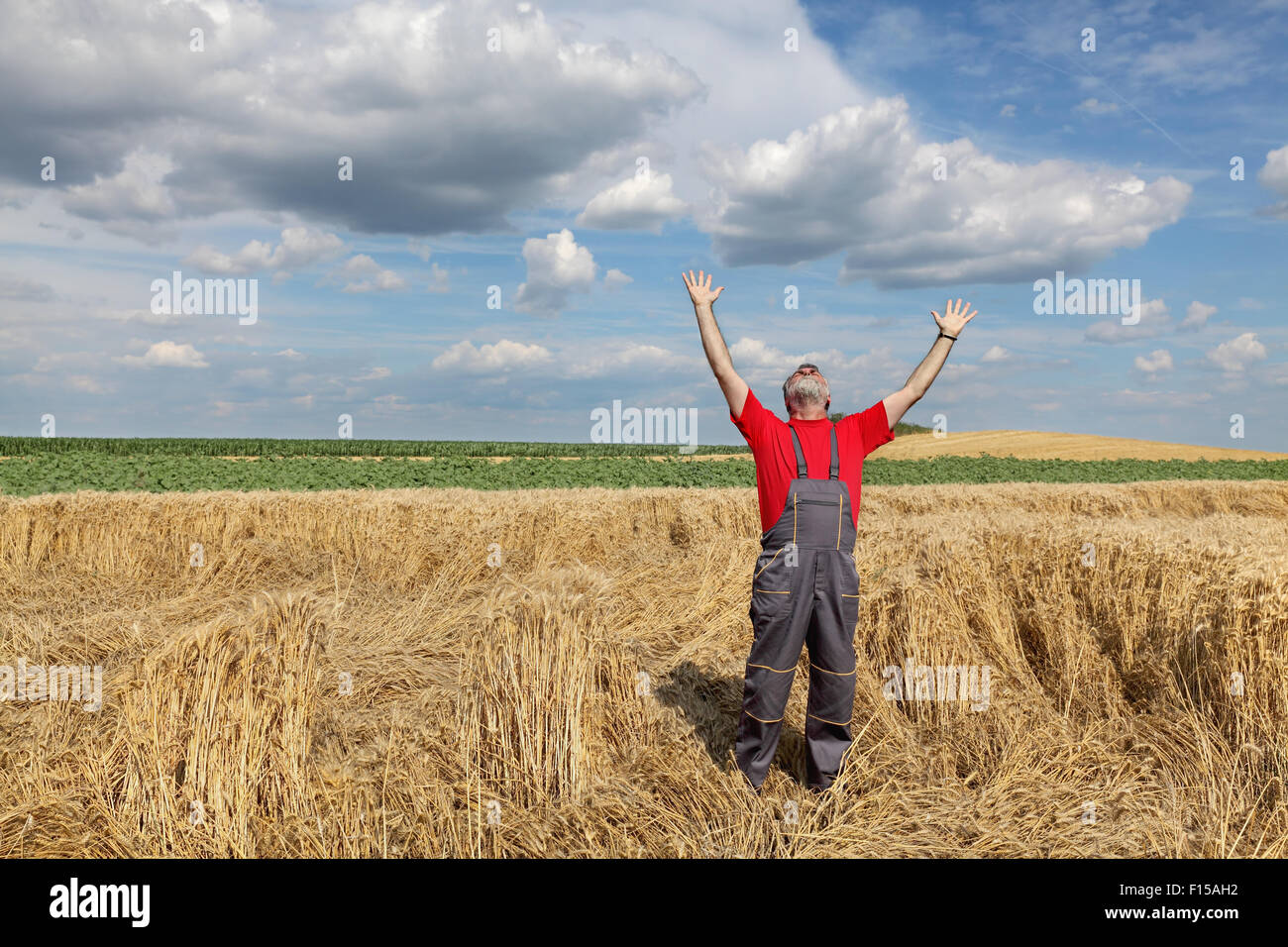 Storm damaged plantation hi-res stock photography and images - Alamy
