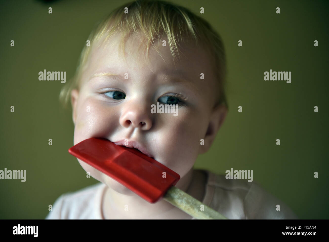 An eleven month old baby biting on a red plastic kitchen spoon-spatulas ...