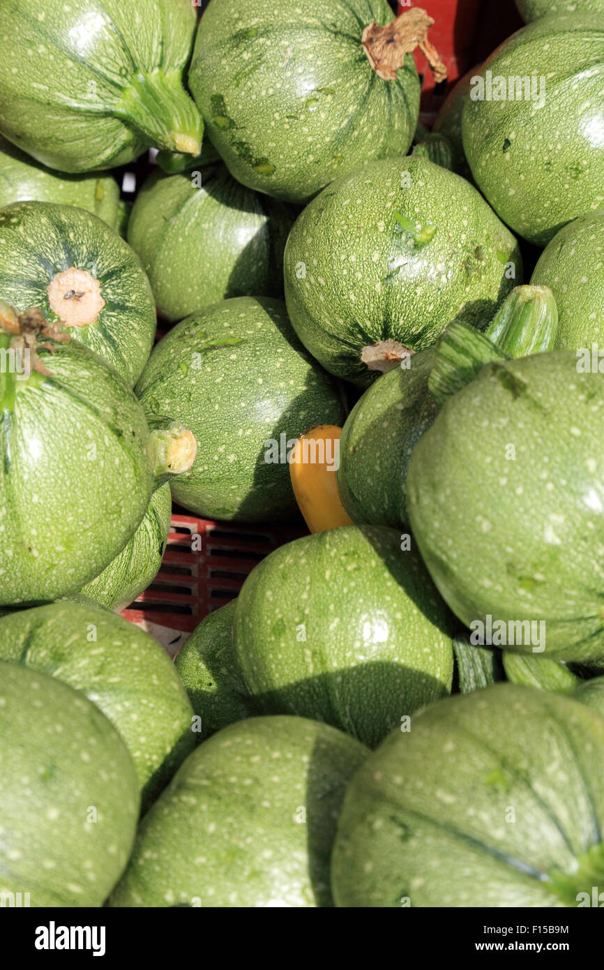 round courgettes on market stall in Place des Lices, Vannes, Morbihan ...