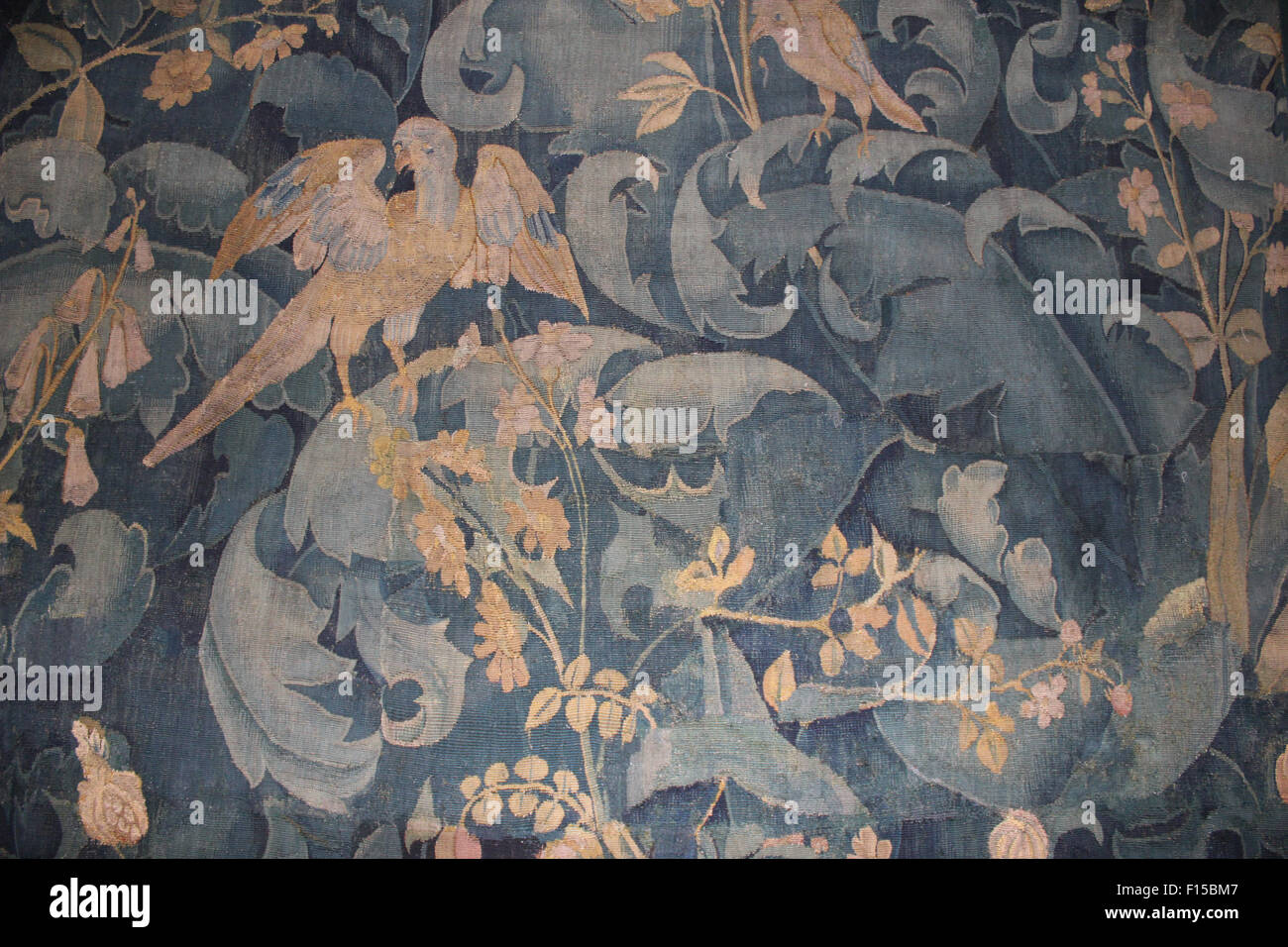 Faded wall gold and blue parrot tapestry inside the Renaissance Palace ...