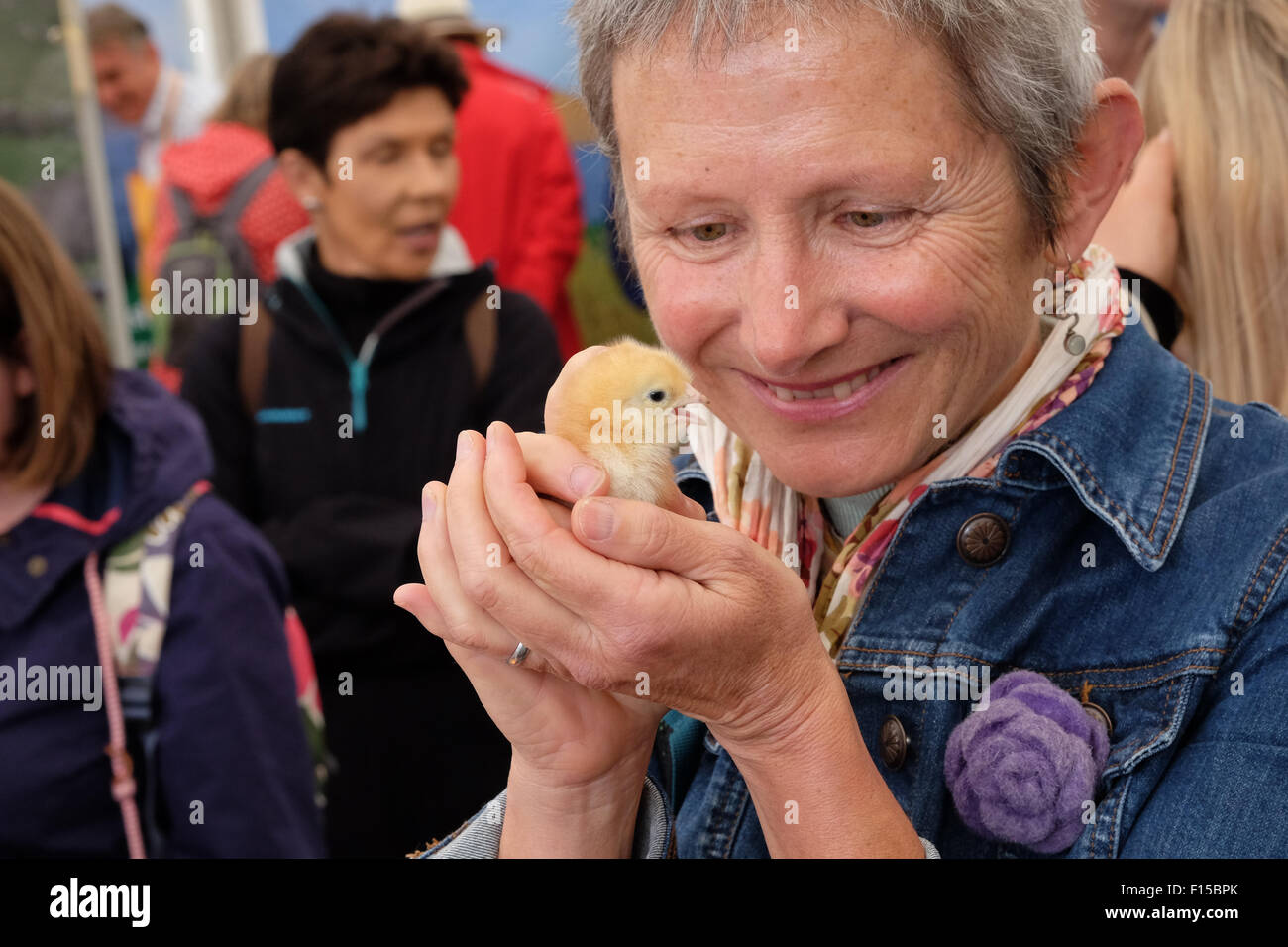 Melplash show hi-res stock photography and images - Alamy