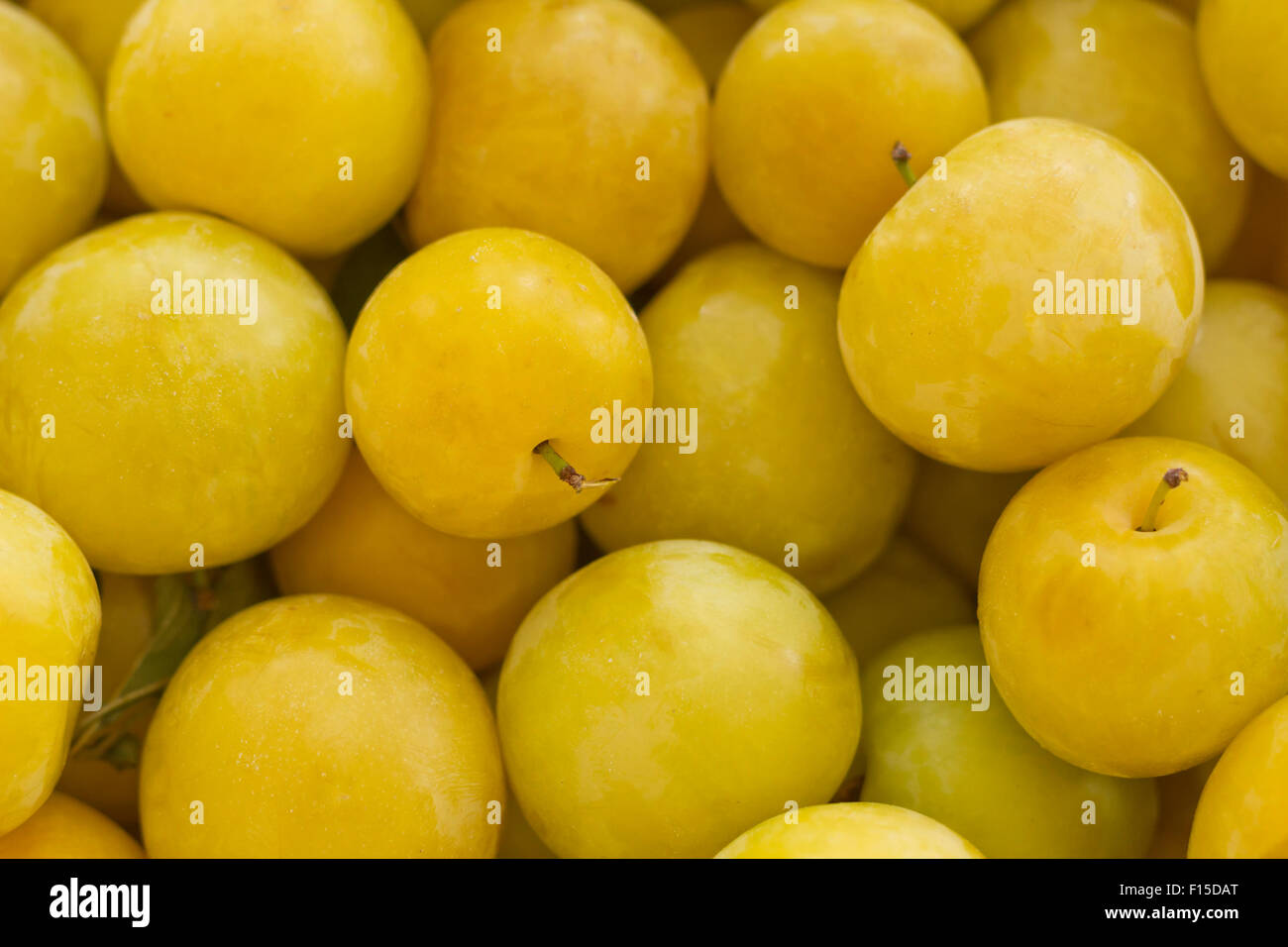 Small yellow plums hi-res stock photography and images - Alamy