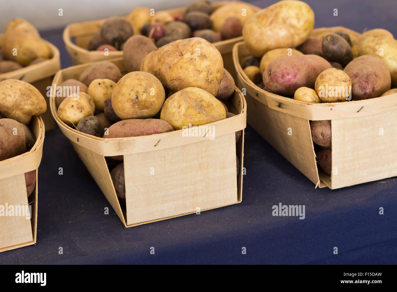 Variety of shapes sizes and colors of organic farmers market potatoes ...