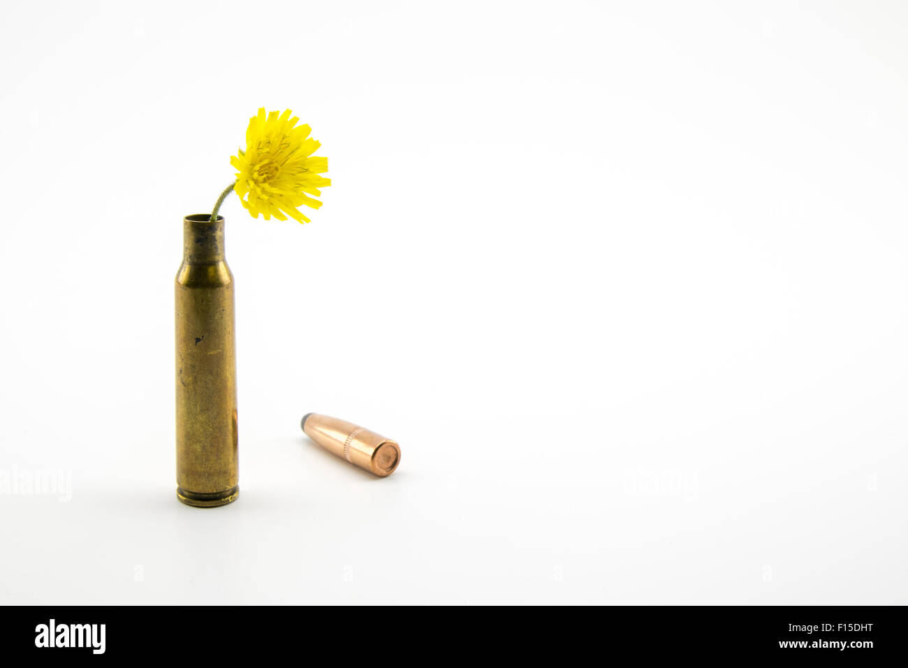 Shotgun shell hi-res stock photography and images - Alamy
