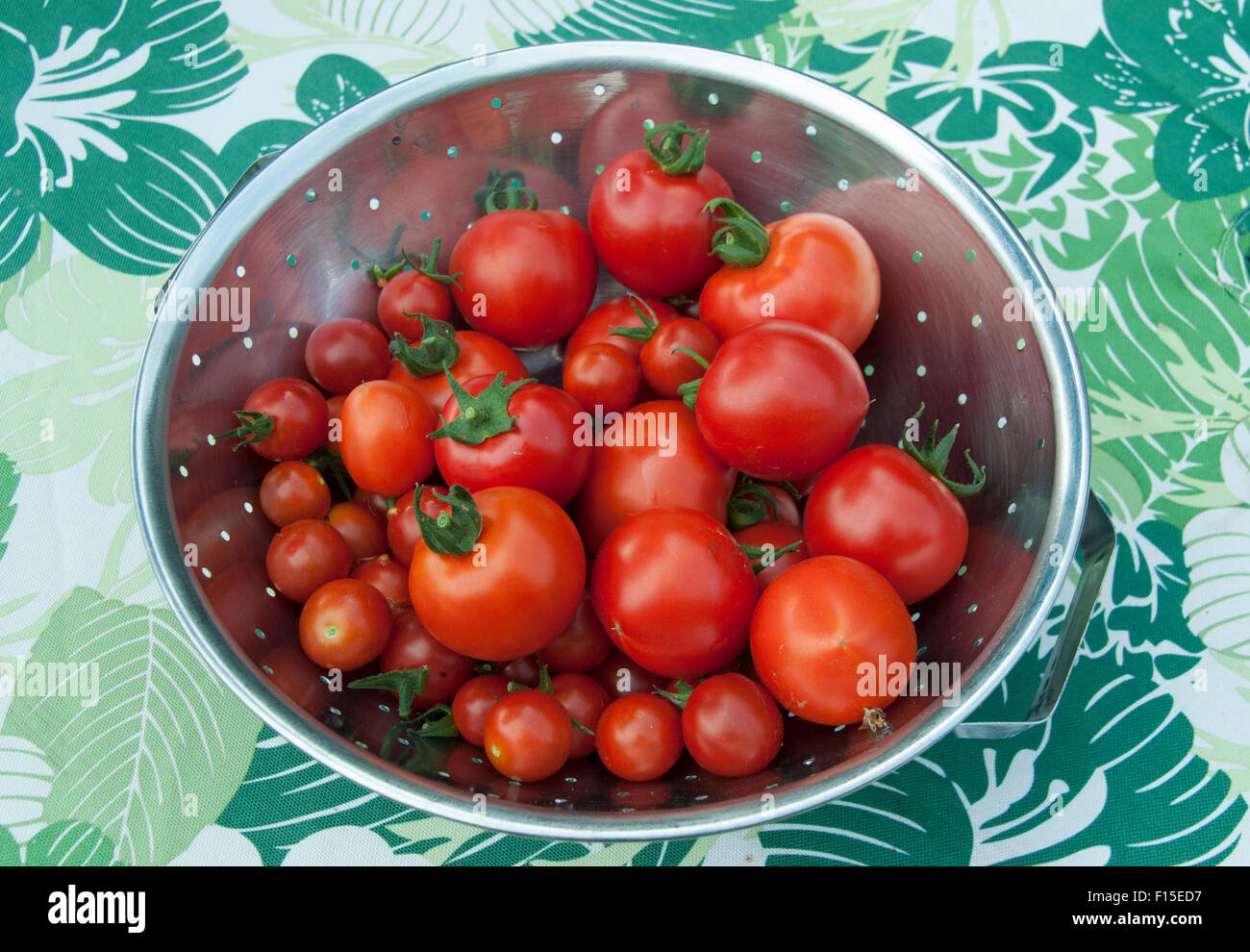 Sweet 100 tomatoes hi-res stock photography and images - Alamy