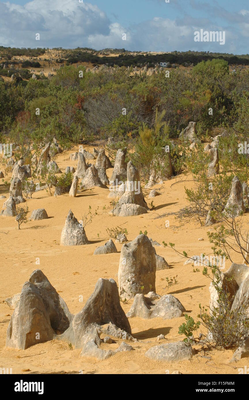 Pinnacles National Park, Western Australia Stock Photo - Alamy