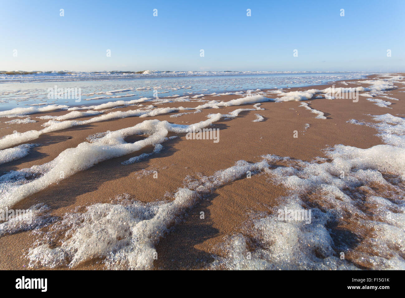 North sea sand beach and blue sky, Netherlands Stock Photo - Alamy