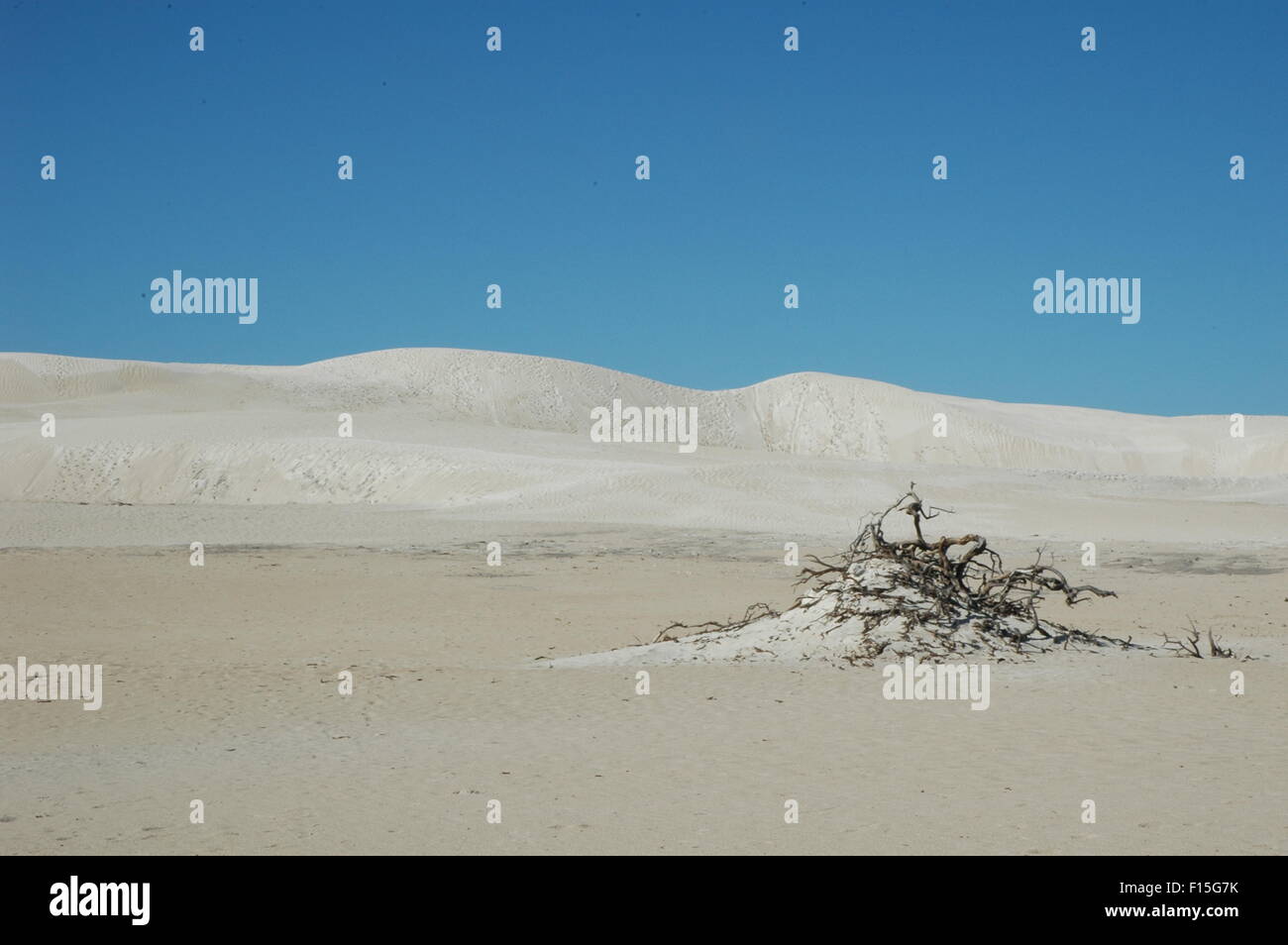 White Sand Dessert WA Stock Photo - Alamy