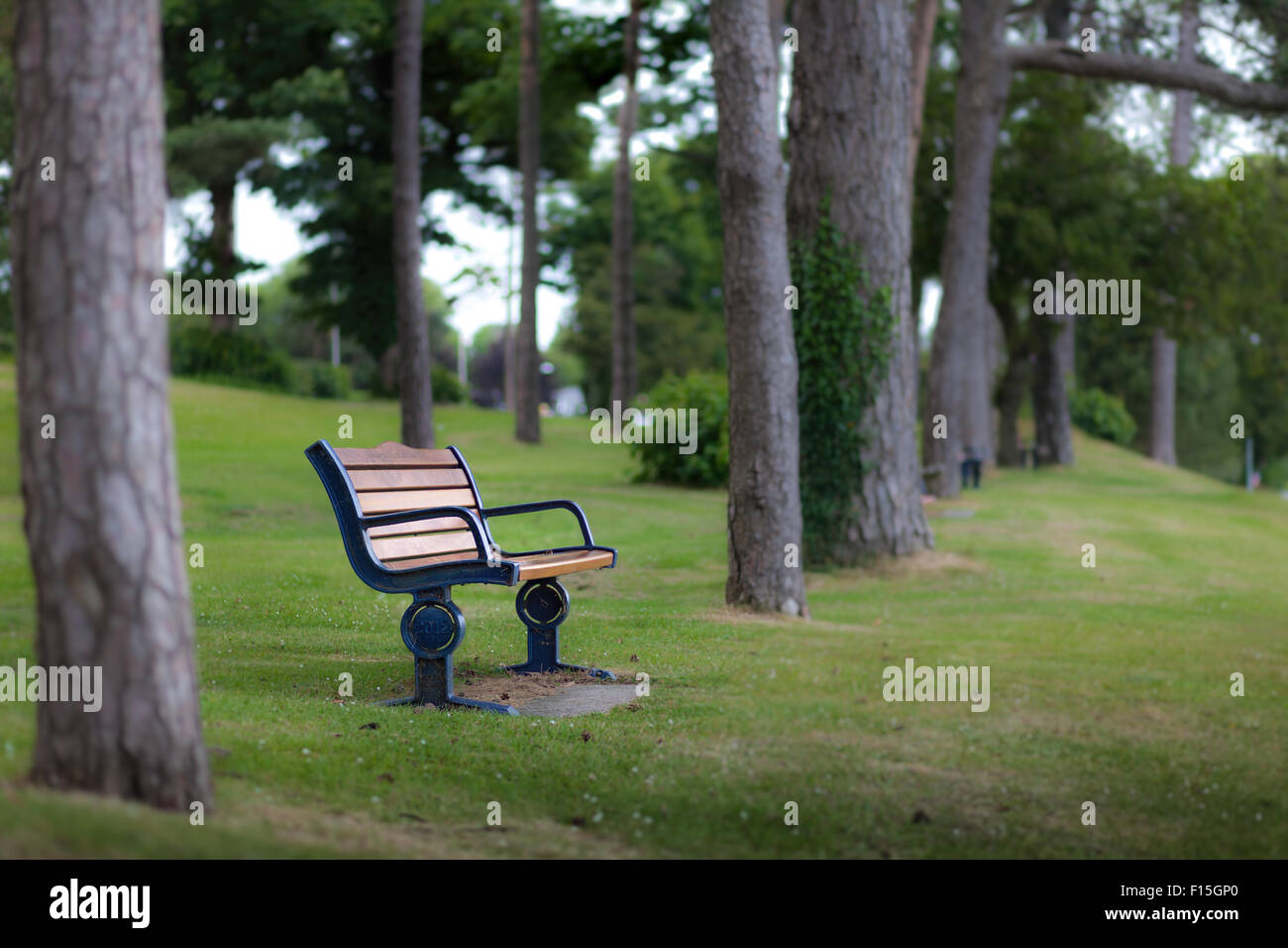A remembrance bench at Mumbles road on the Swansea coast Stock Photo ...