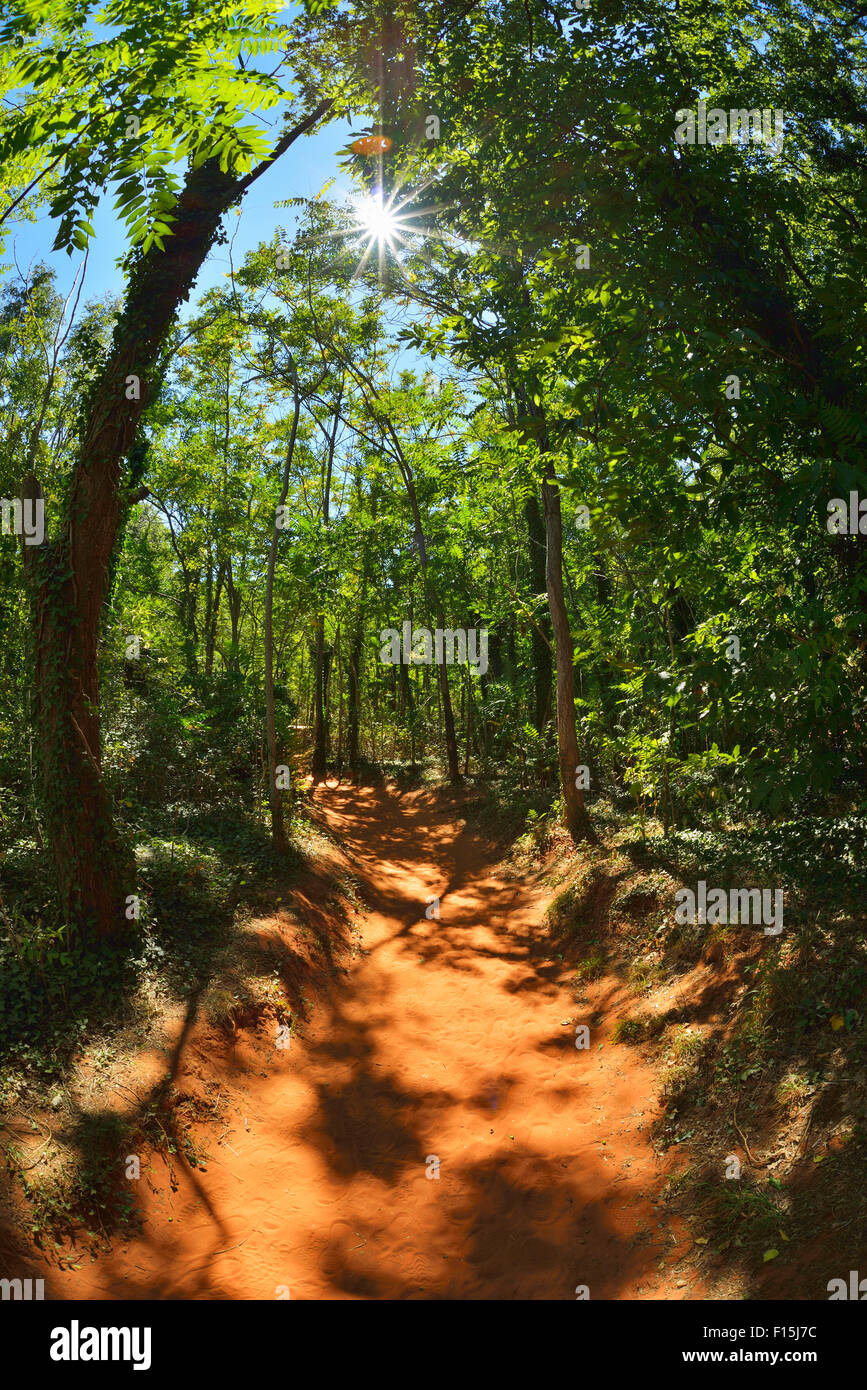Trail through Ochre Breakage with Sun in Summer, Sentier des Ocres ...
