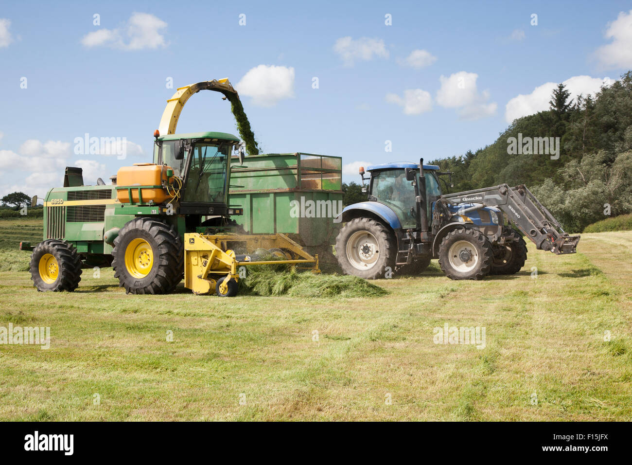 Tractor harvesting corn hi-res stock photography and images - Alamy