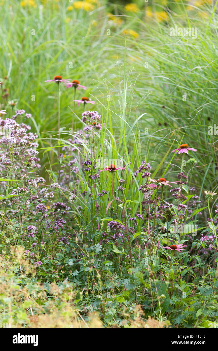 English wild country gardens hi-res stock photography and images - Alamy