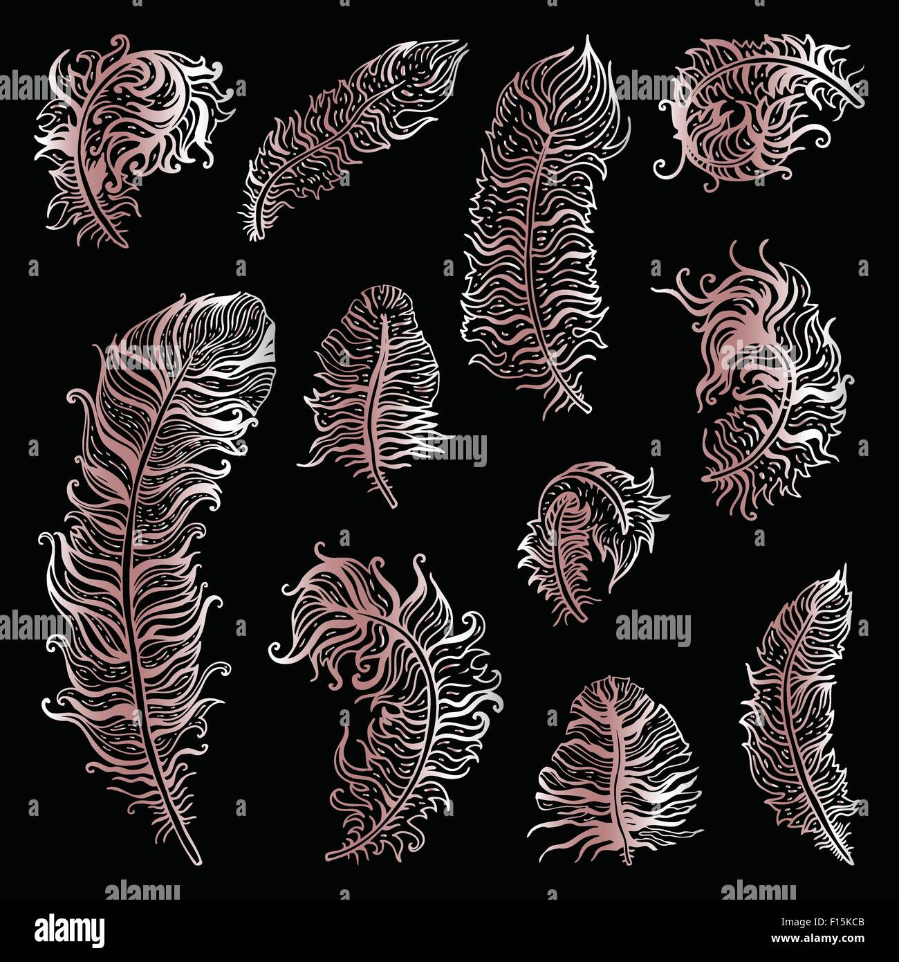 Beautiful Vintage Feathers Stock Vector Image & Art - Alamy