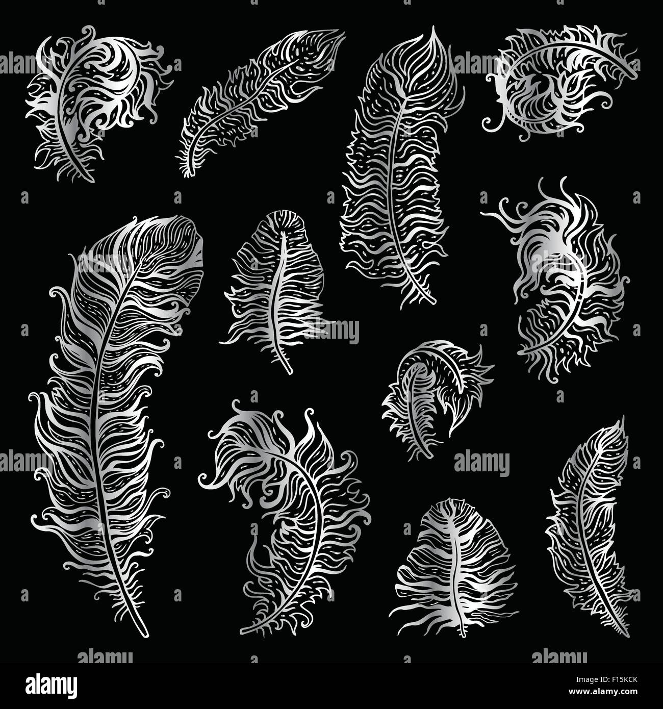 Beautiful Vintage Feathers Stock Vector Image & Art - Alamy