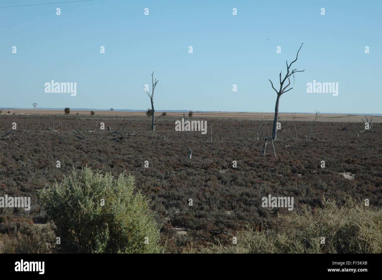 Scrub Land High Resolution Stock Photography and Images - Alamy