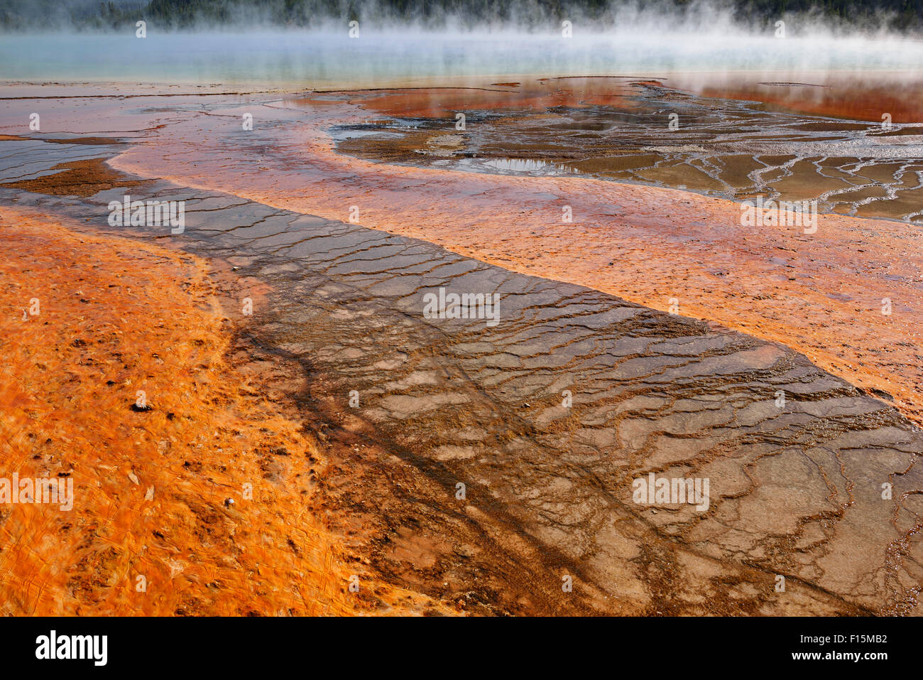 Orange county water basin hi-res stock photography and images - Alamy