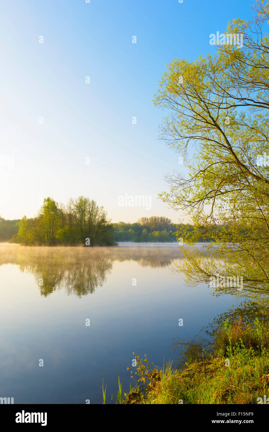 Lake with mist and Trees in Early Morning Light, Early Spring, Hanau ...