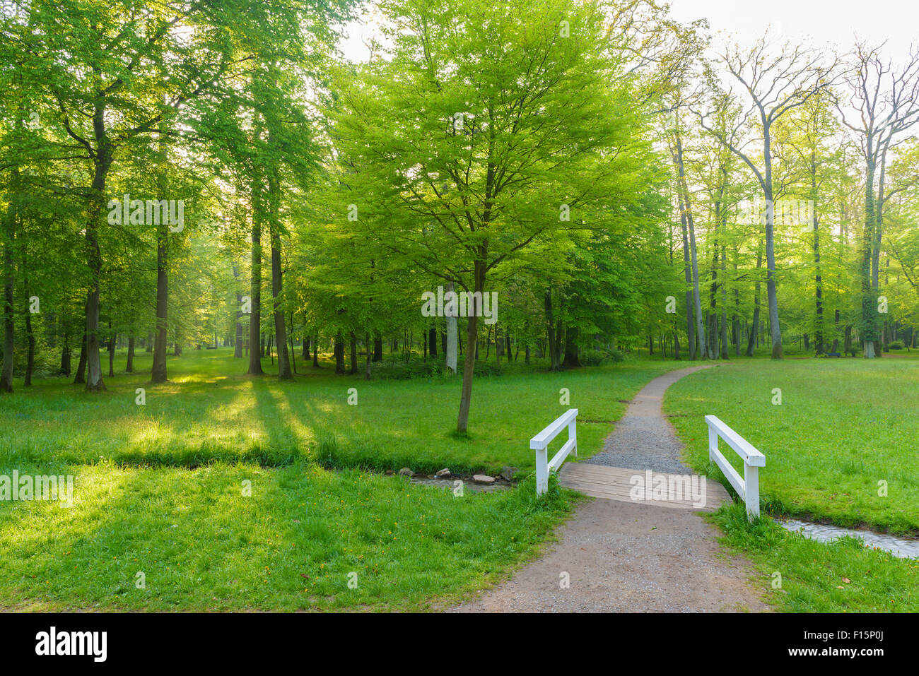 Wooden Bridge in Early Spring, Park Schonbusch, Aschaffenburg, Lower ...