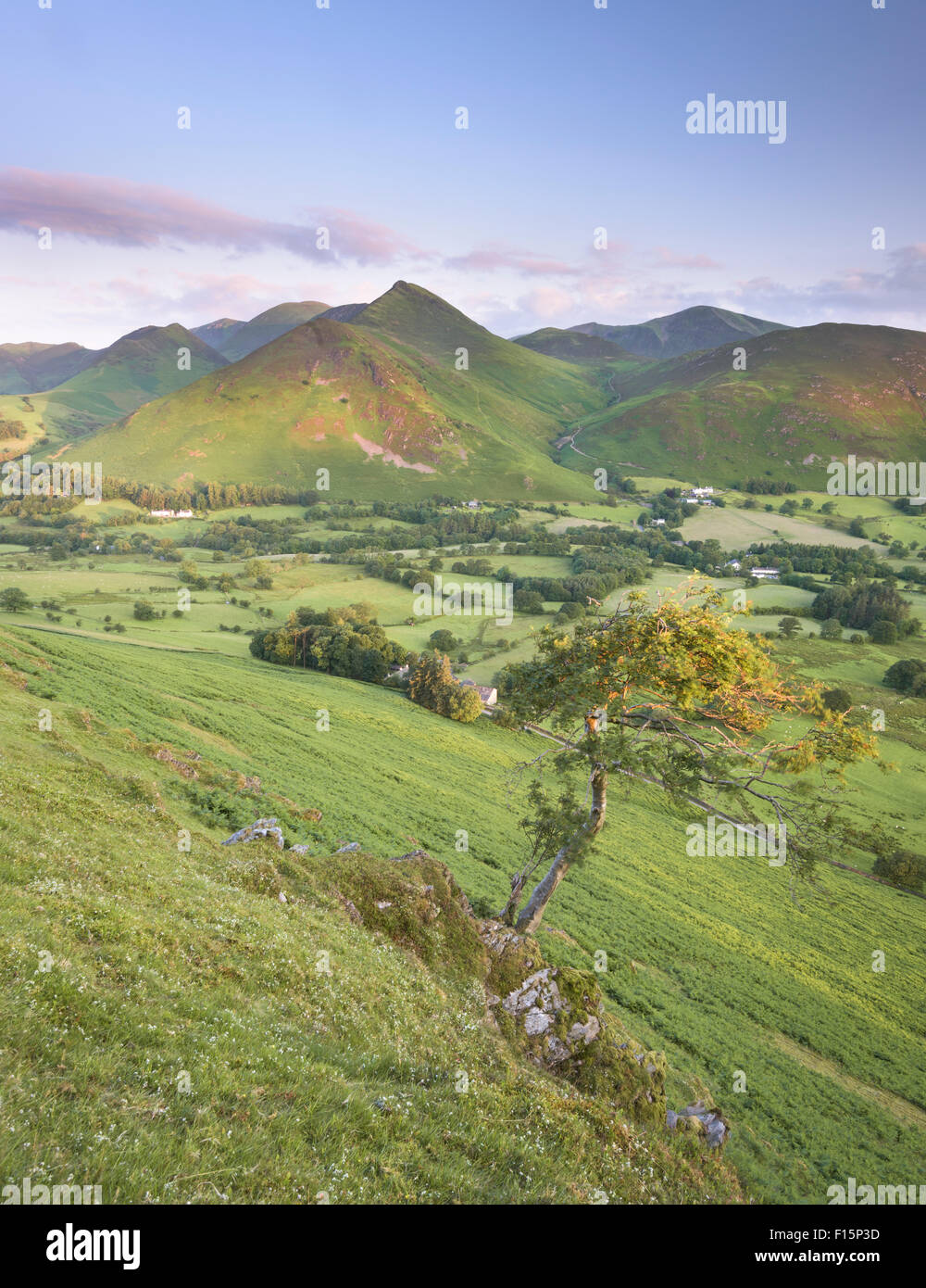 Causey Pike and the Newlands Valley from Skelgill Bank, Cat Bells ...