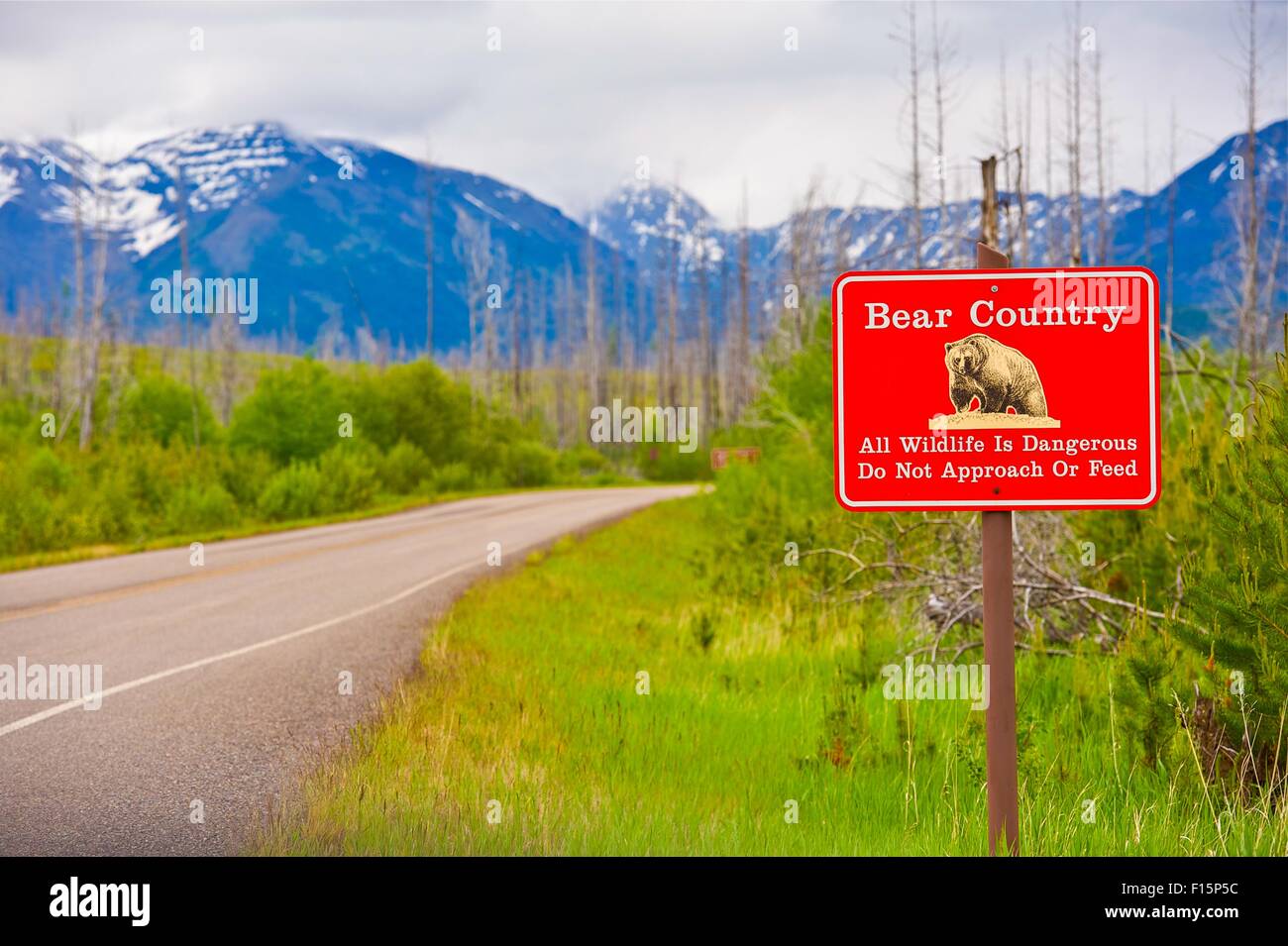 Bear Country Warning Sign. All Wildlife is Dangerous. Do Not Approach ...