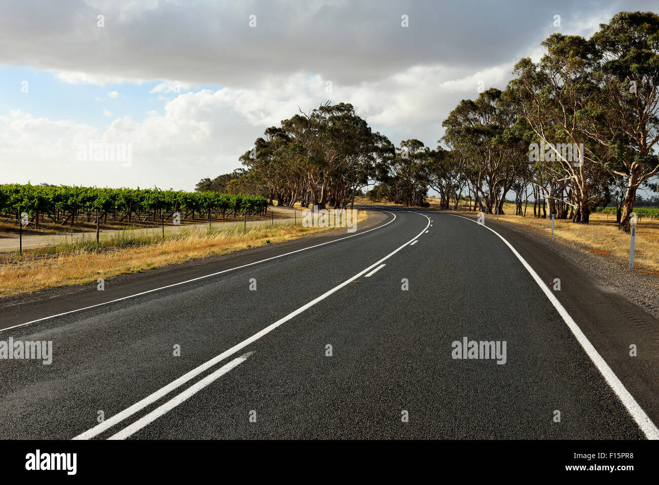 Padthaway south australia hi-res stock photography and images - Alamy