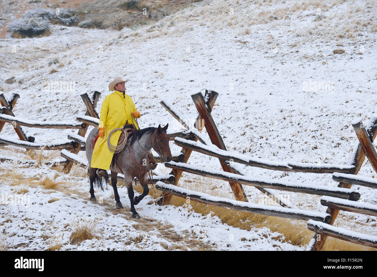 Cowboy riding in autumn snow hi-res stock photography and images - Alamy