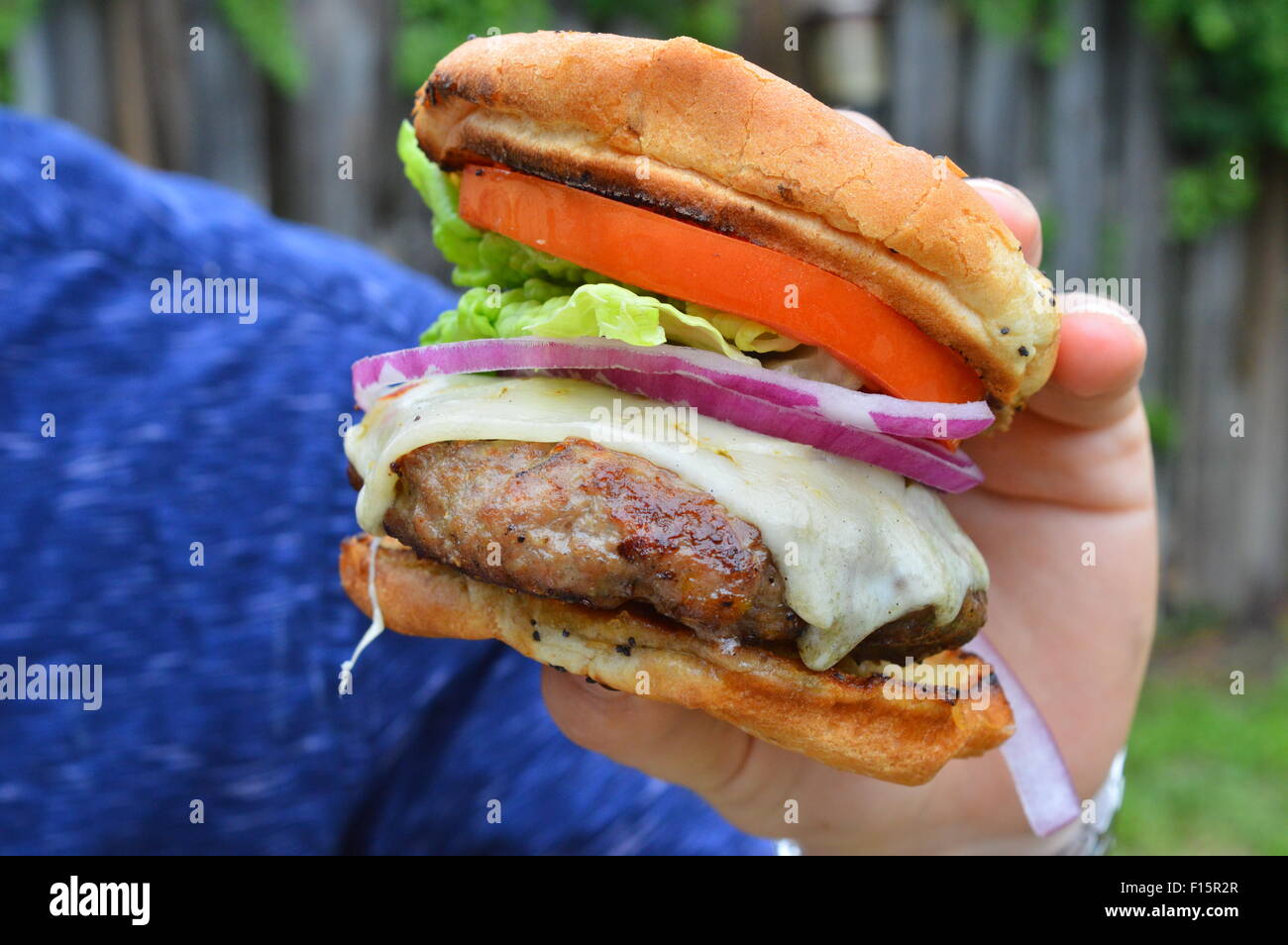 White male hand holding up a cheeseburger with veggies Stock Photo - Alamy