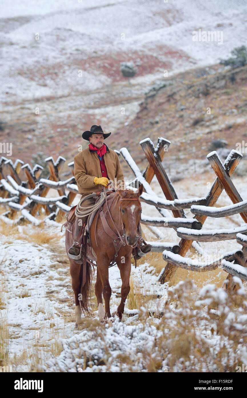 Buck and rail fence hi-res stock photography and images - Alamy