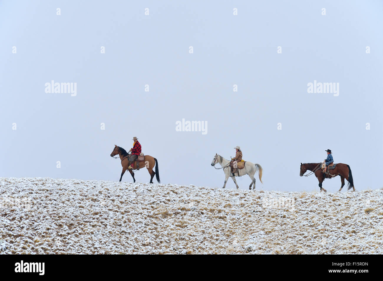 Cowboy with Two, Young Cowboys riding horses along Horizon in snow ...